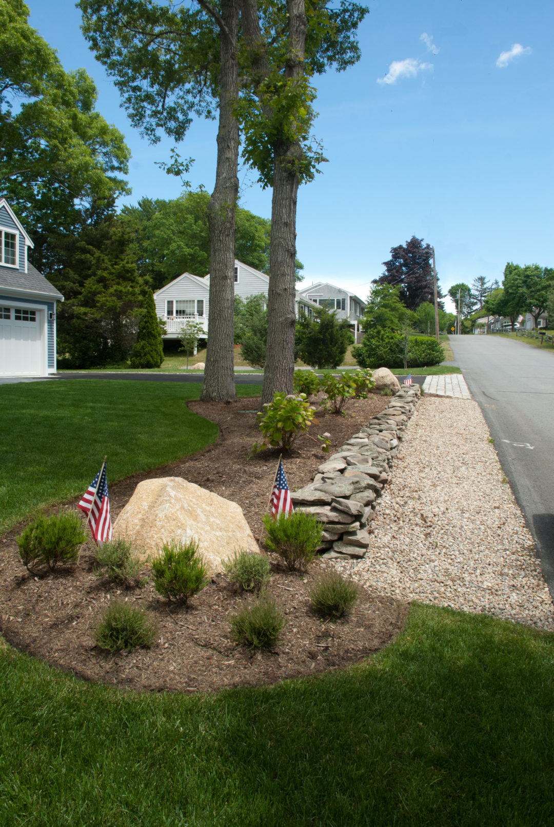 Pocasset 2016 - Hamilton Tree and Landscape