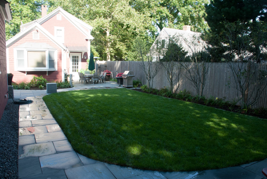 Falmouth 2016 - Hamilton Tree and Landscape