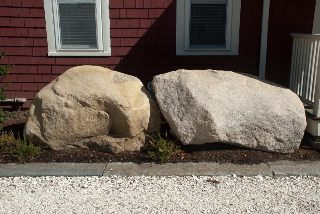 Falmouth 2016 - Hamilton Tree and Landscape