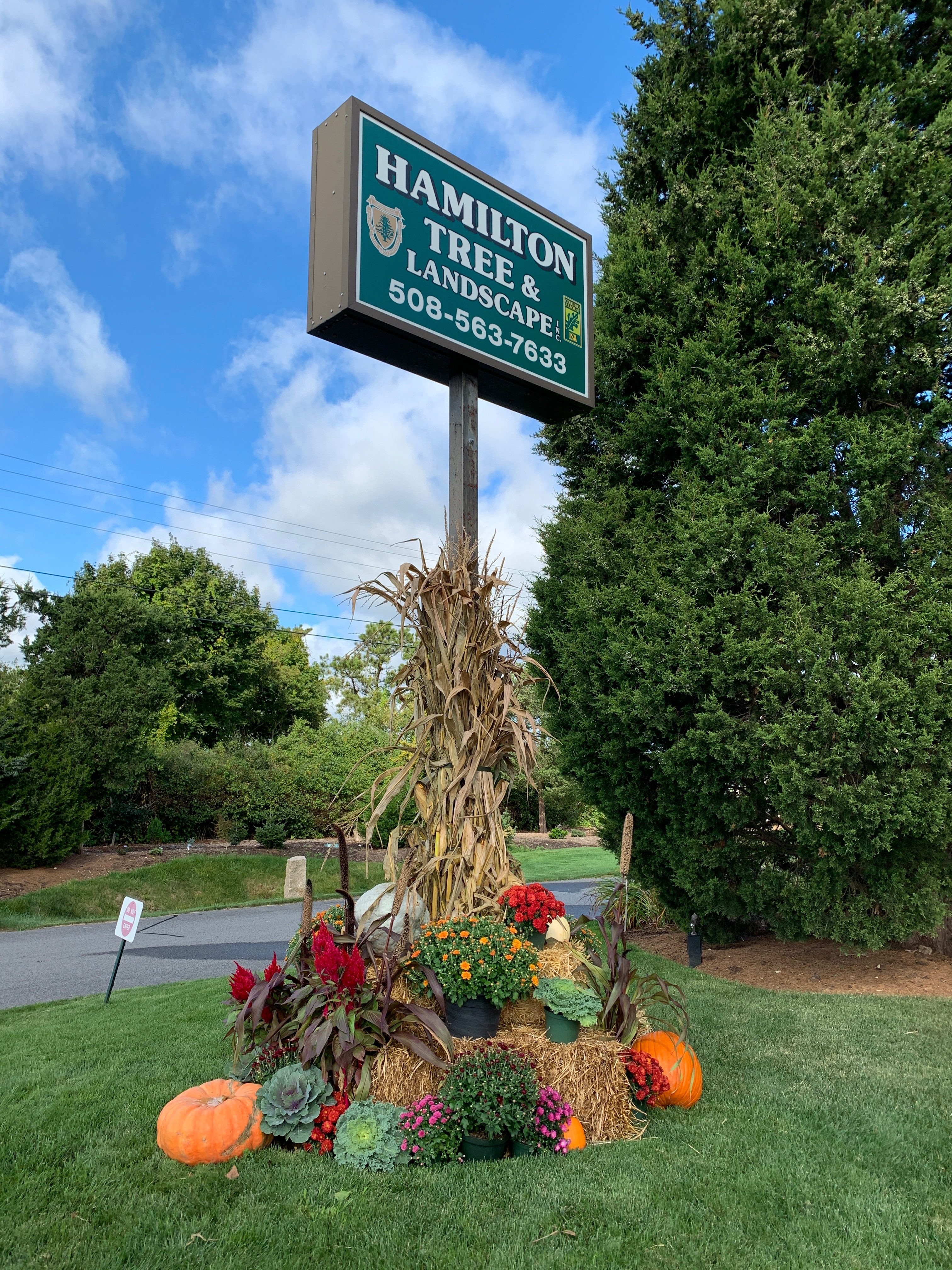 IMG-2607[1] - Hamilton Tree and Landscape