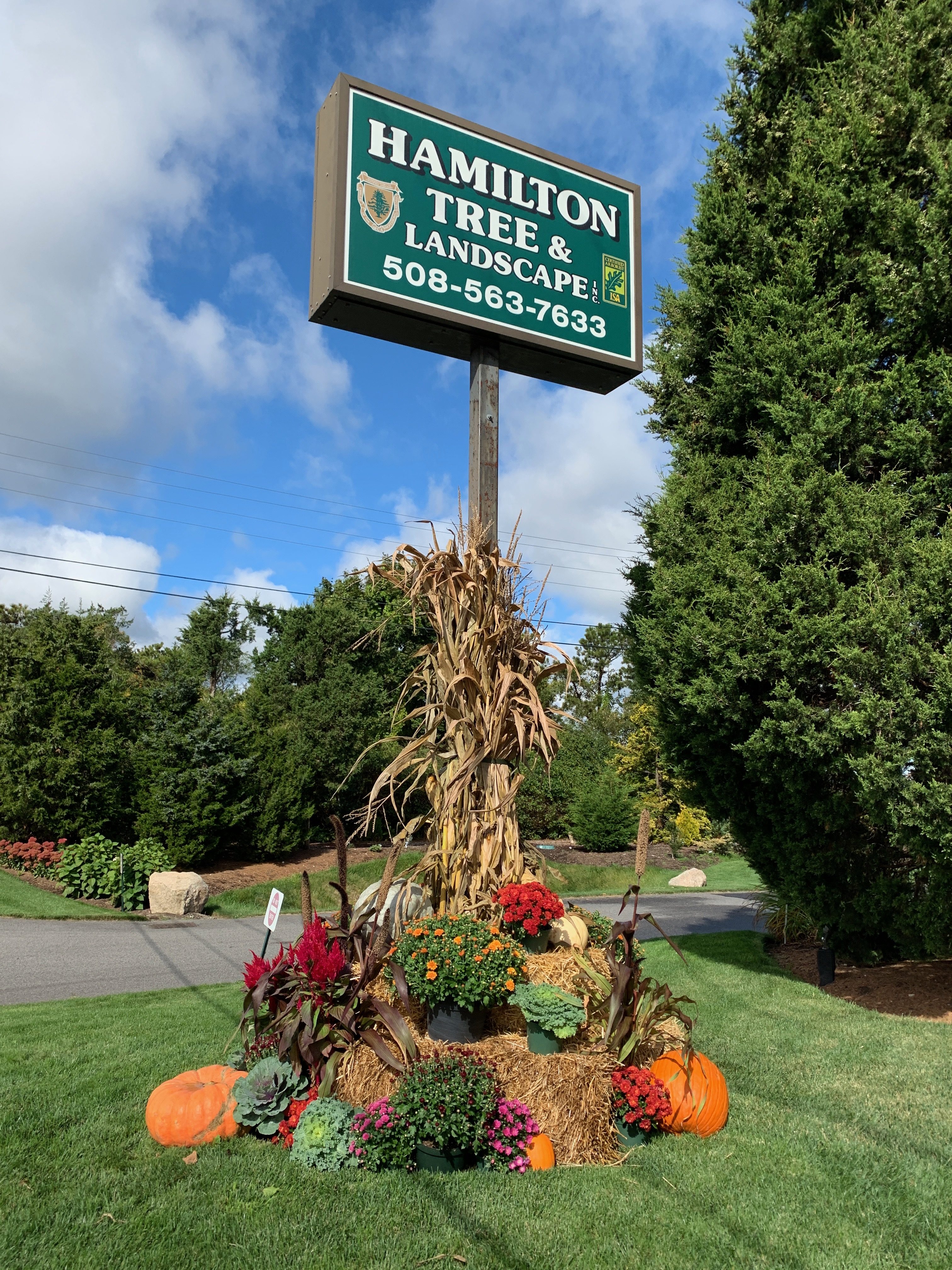 IMG-2609[1] - Hamilton Tree and Landscape